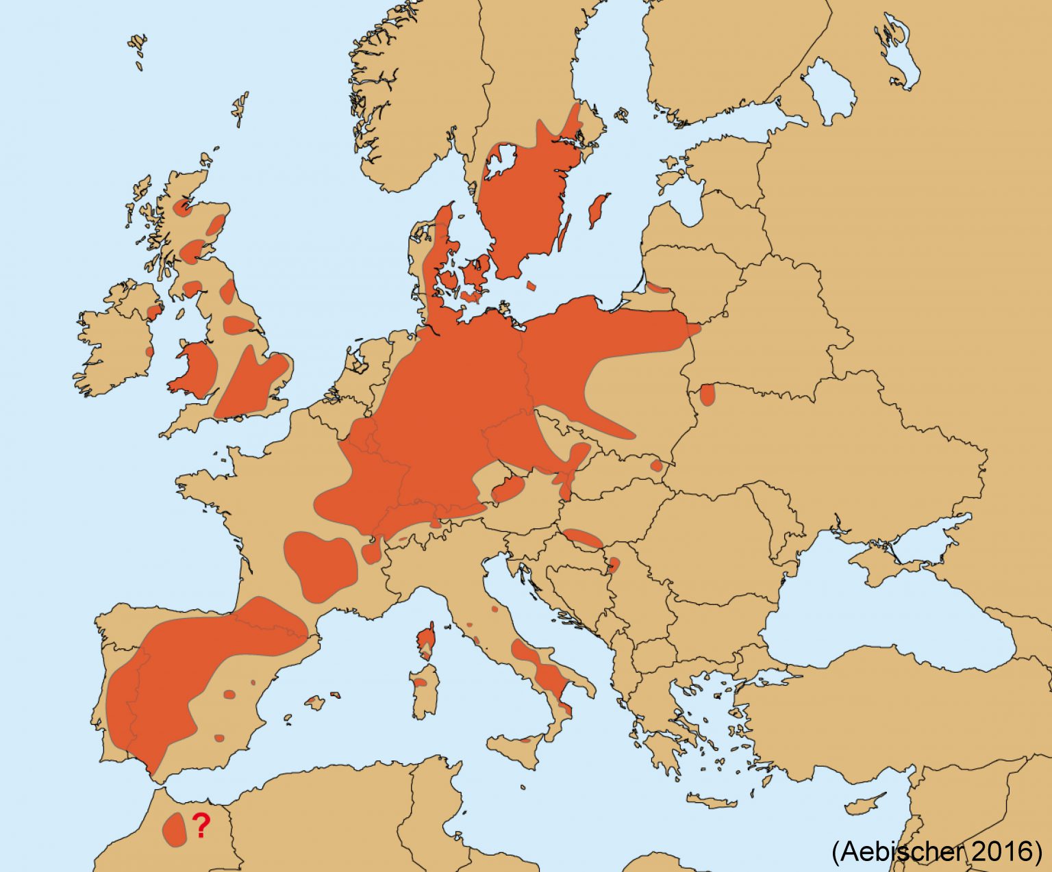 The red kite in Europe – LIFE MILVUS