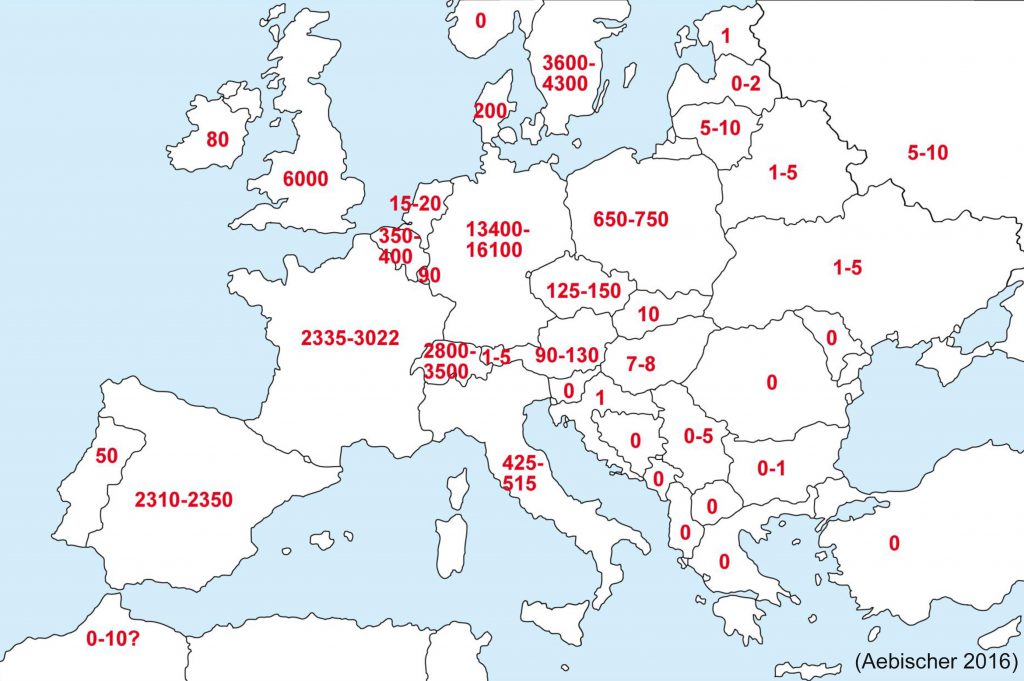 The red kite in Europe – LIFE MILVUS