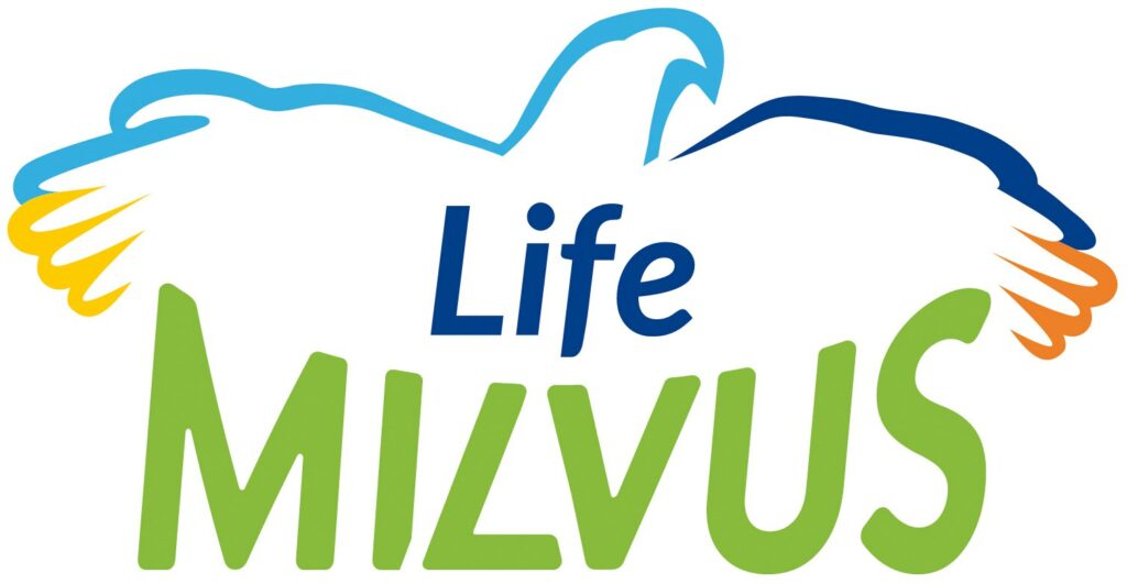 The red kite in Europe – LIFE MILVUS