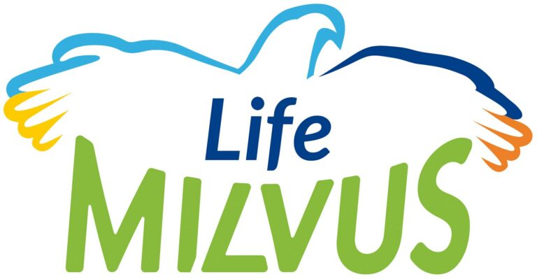 The red kite in Europe – LIFE MILVUS